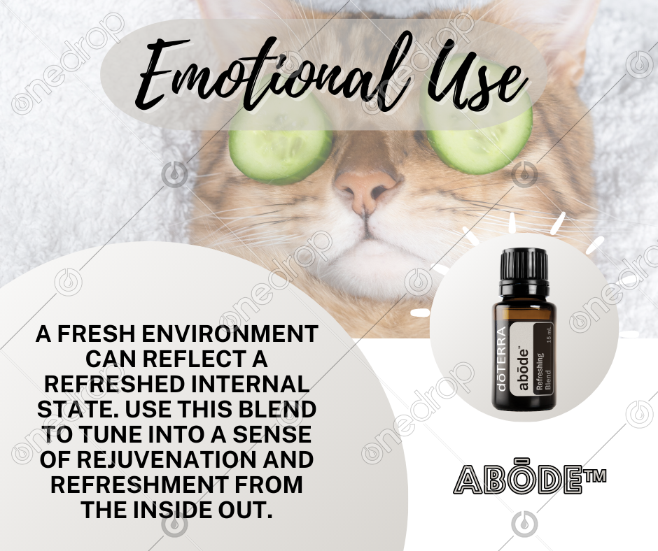 Abode - Emotional Use by Christy St Clair