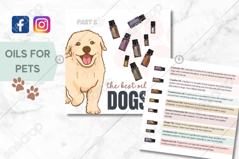 Oils for Pets | Best Essential Oils for Dogs | Part 1 by Jess Tunis