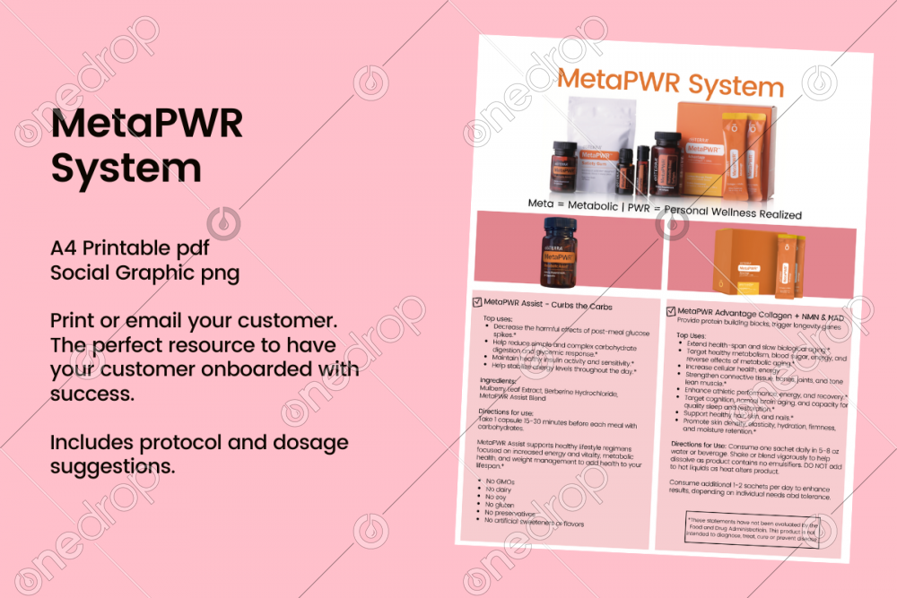 MetaPWR System Protocol | Printable + Social Graphic by Pete Wilkes