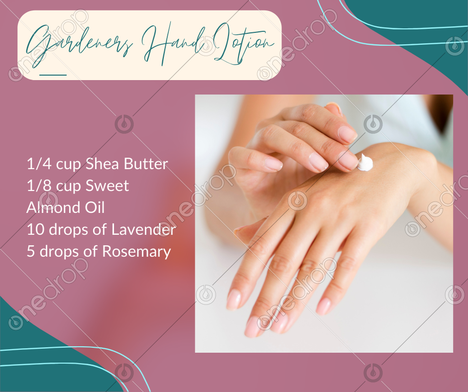 Gardeners Hand Lotion by Jennifer Morales