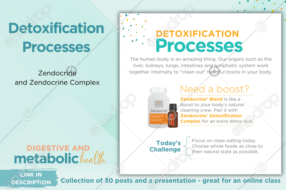 Detoxification Processes - Digestion and Metabolism by Jan Kohler