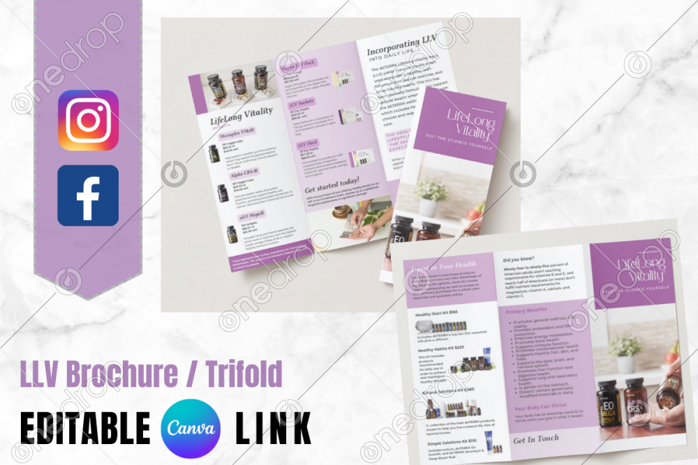 UPDATED - Lifelong Vitality® Trifold | Fully Editable in Ca by Jess Tunis