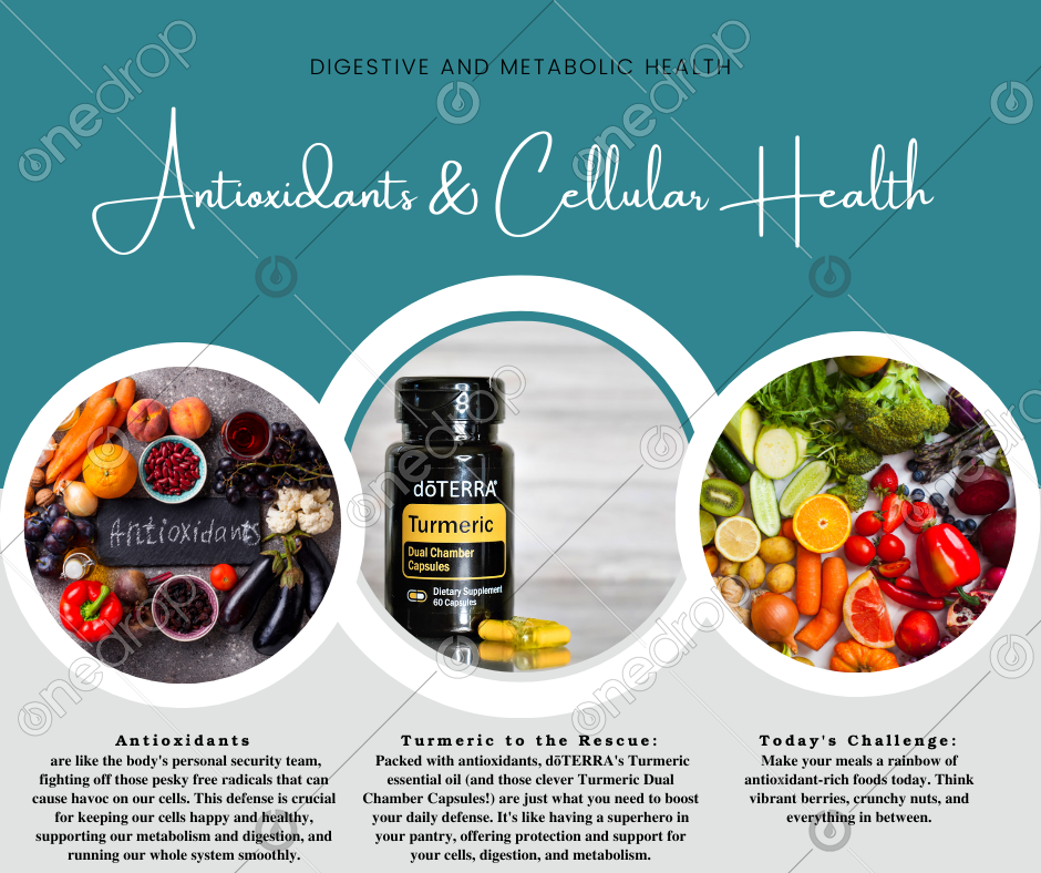 Antioxidants & Cellular Health by Christy St Clair