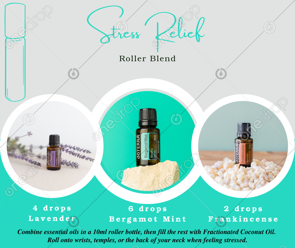 Stress Relief Roller Blend by Christy St Clair
