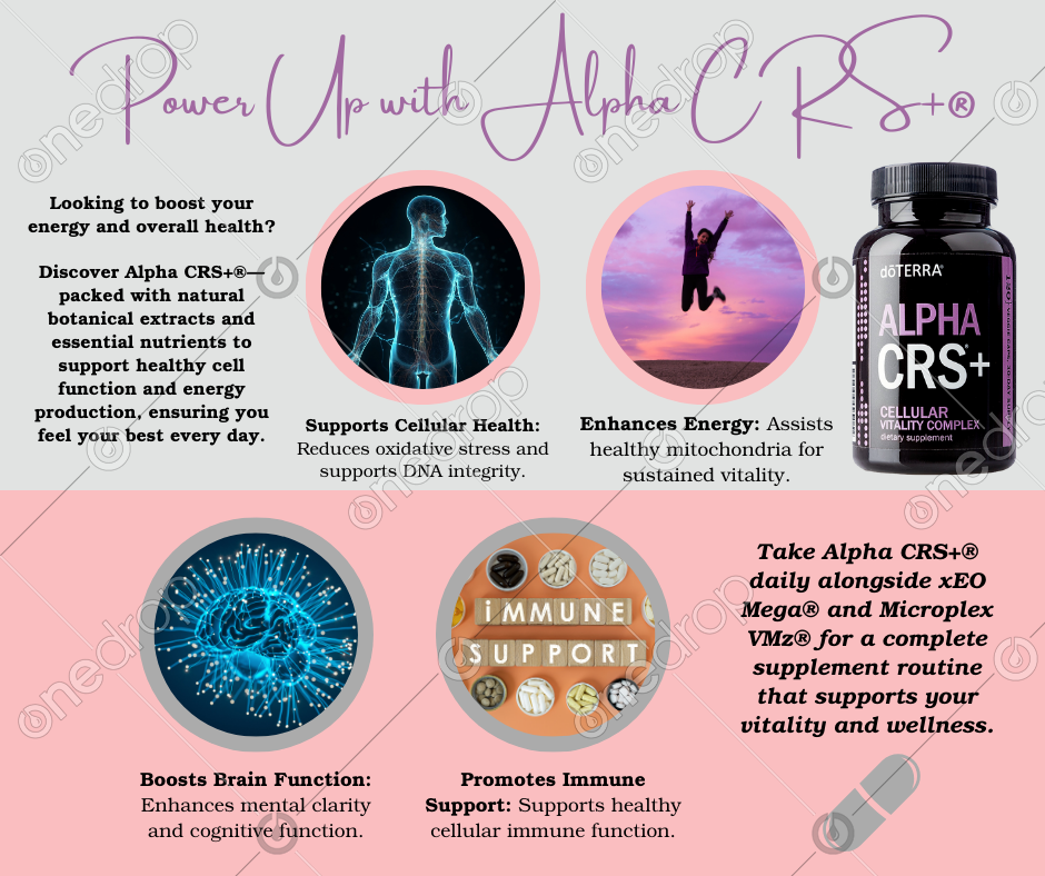 Discover Alpha CRS+ by Christy St Clair