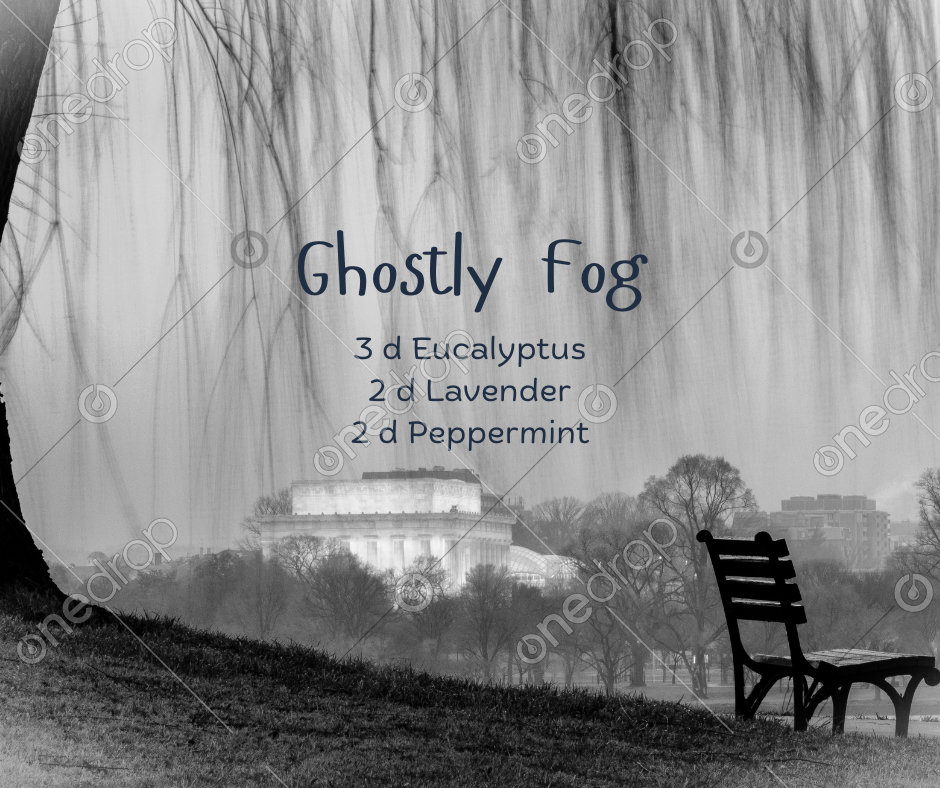 Ghostly Fog Diffuser Blend by Jennifer Morales