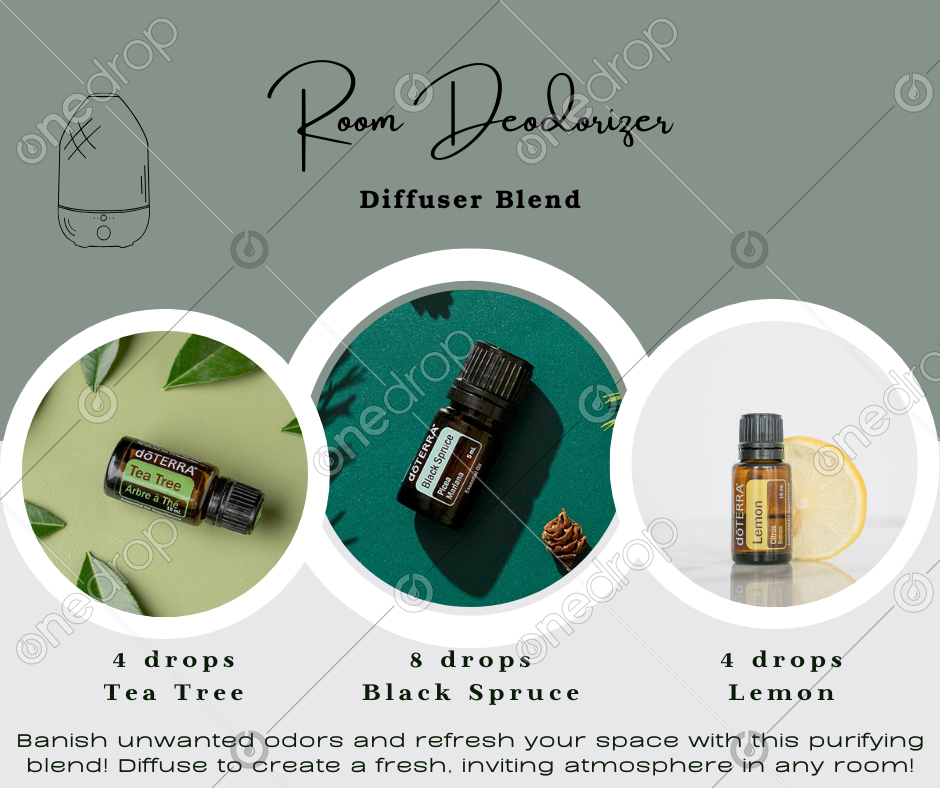 Room Deodorizer Diffuser Blend by Christy St Clair