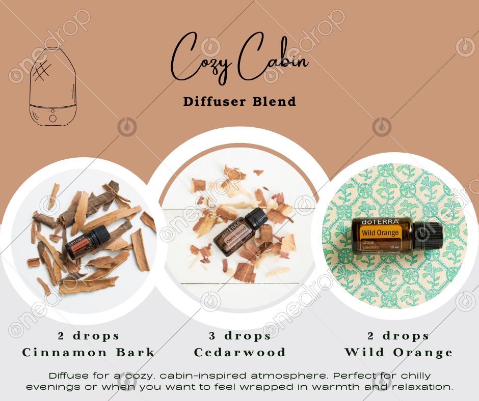 Diffuser Blend: Cozy Cabin by Christy St Clair