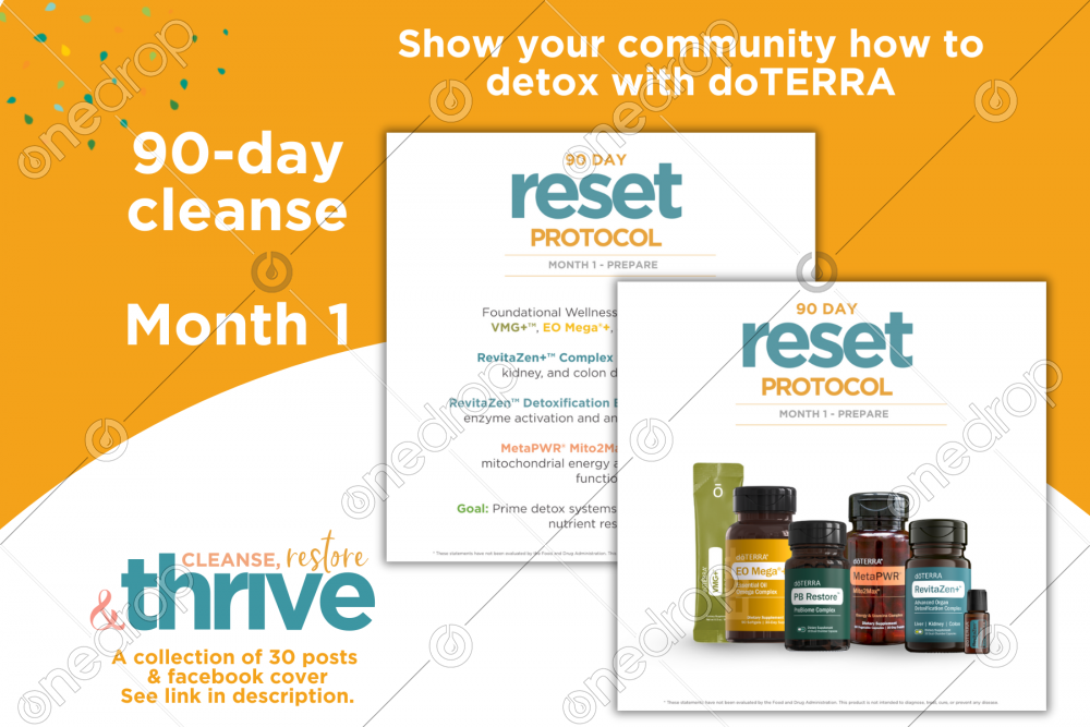 90 day month 1 - thrive collection by Jan Kohler