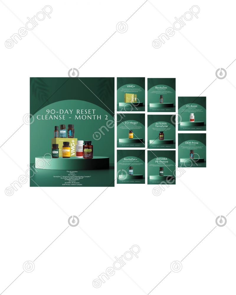 90-Day Reset Cleanse - Month 2 by Zarine Bharda